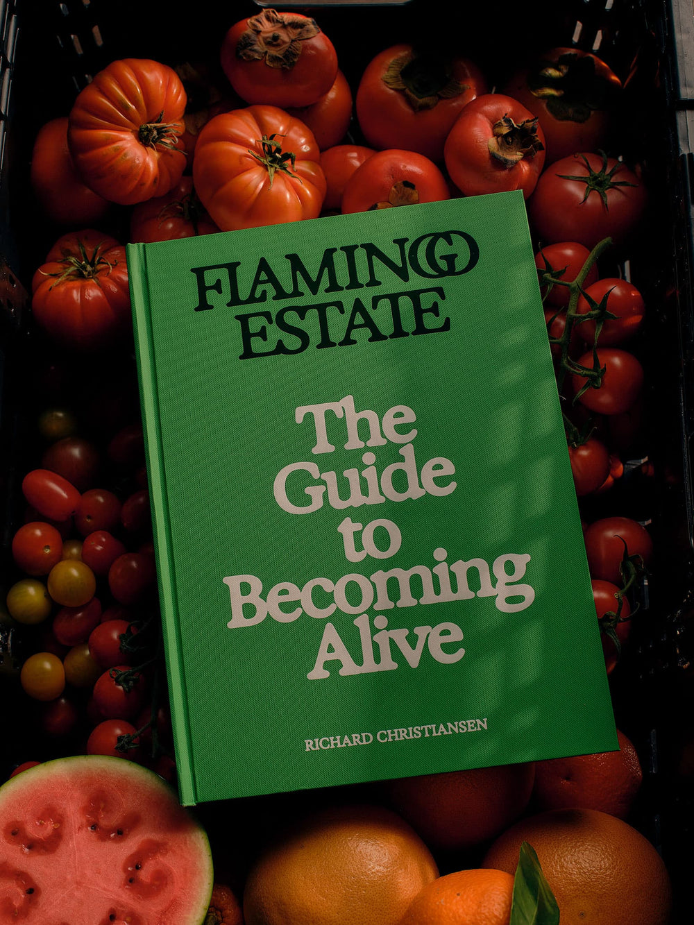 The Guide to Becoming Alive – hoste